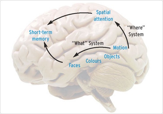 Memory and Cognitive Problems - Gateway Psychiatric