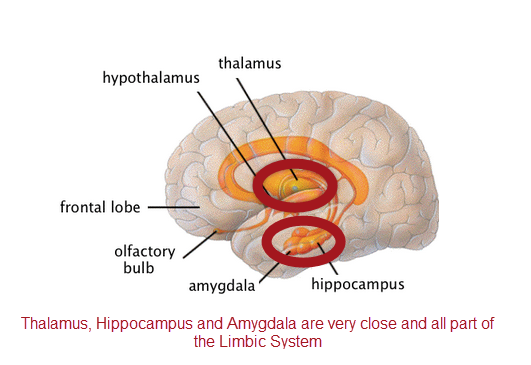 Brain Morphometry Separates Bipolar vs Unipolar - Gateway Psychiatric
