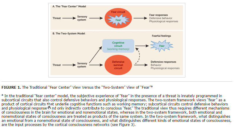 A New Model of Anxiety and Fear - Gateway Psychiatric