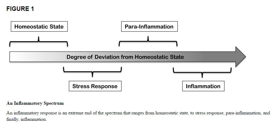 Depression and Inflammation: Treatment Options - Gateway Psychiatric