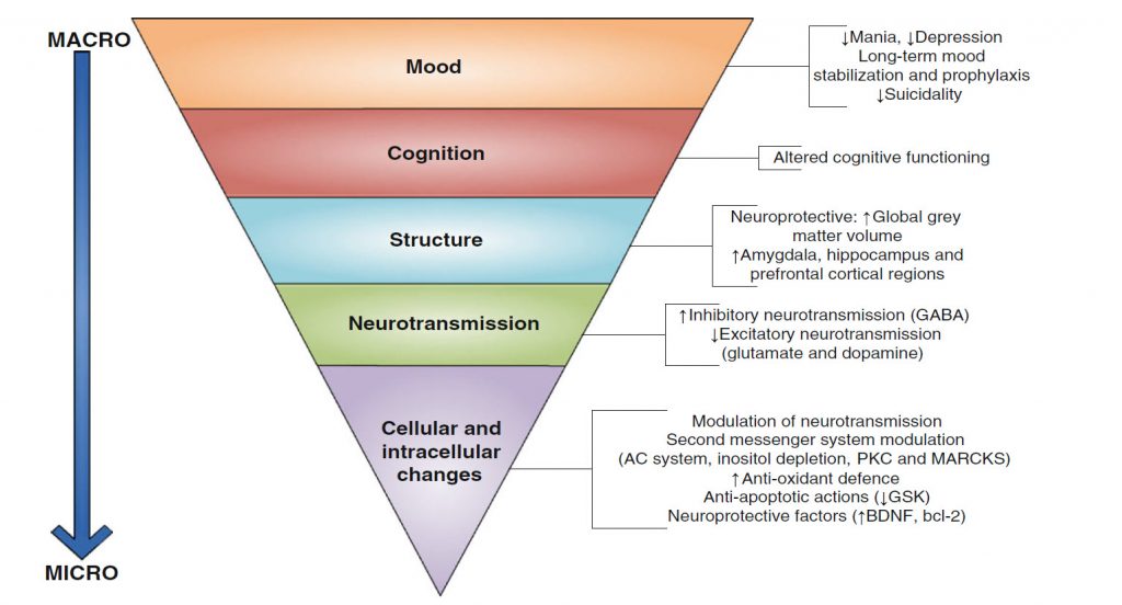 Lithium - Gateway Psychiatric