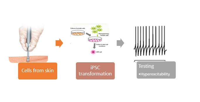Lithium Mechanism of Action - Gateway Psychiatric