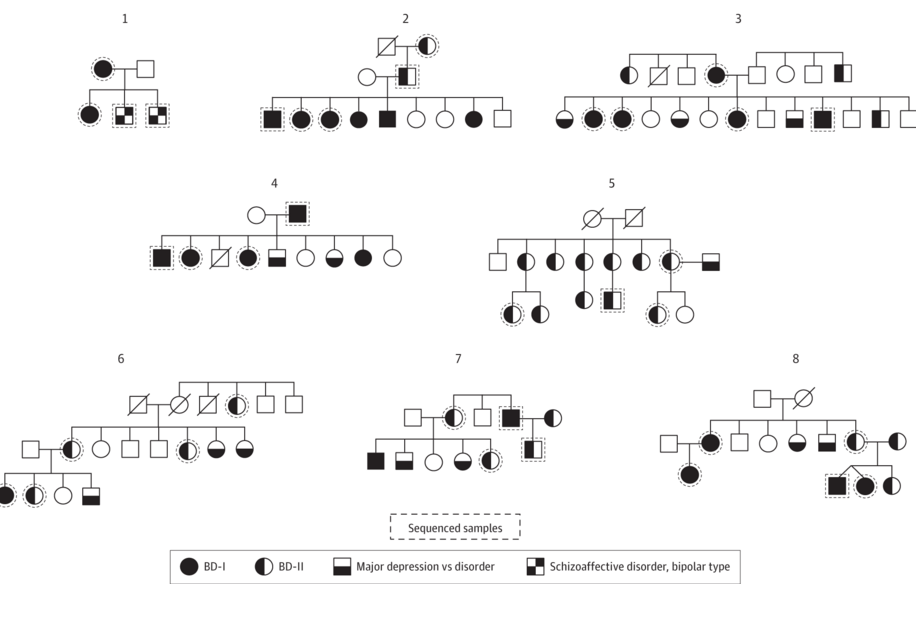 Genetics of bipolar disorder - update - Gateway Psychiatric Genetics of bipolar disorder - update - Gateway Psychiatric