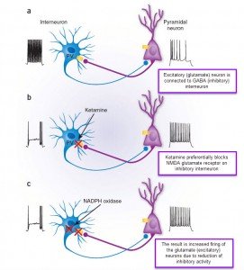 Ketamine for Depression - Mechanism of Action - Gateway Psychiatric