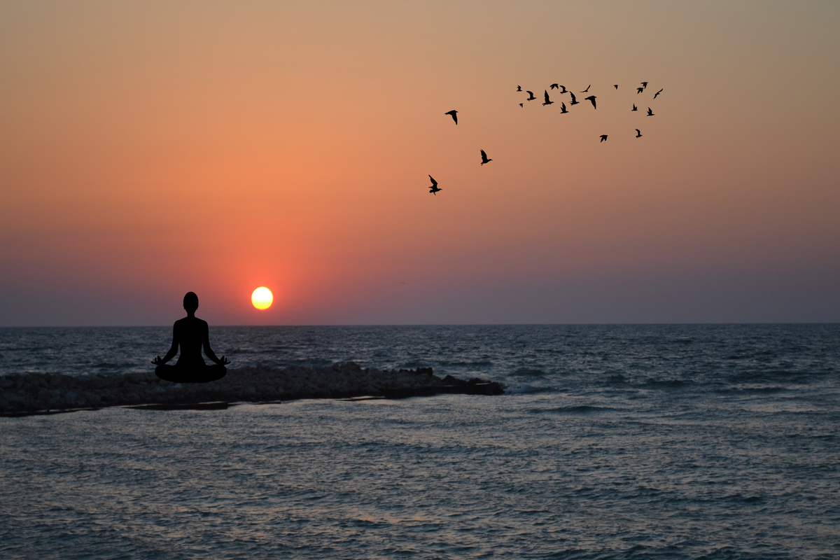 Embracing Nature’s Wisdom: Four Seasons of Mindfulness Class Highlights ...